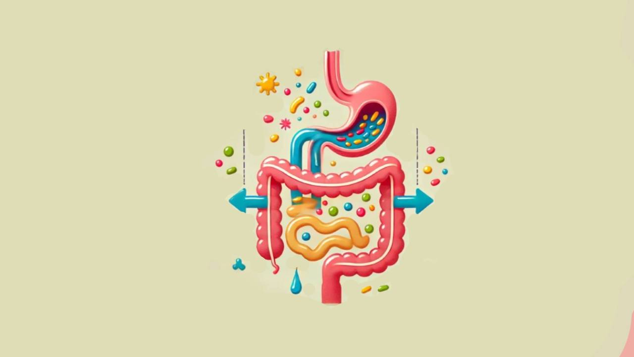 Digestión enzimática: qué es y su función en el organismo | Wuolah